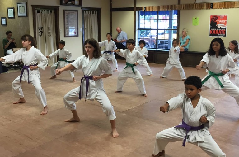 Programs – North Wind Martial Arts Academy